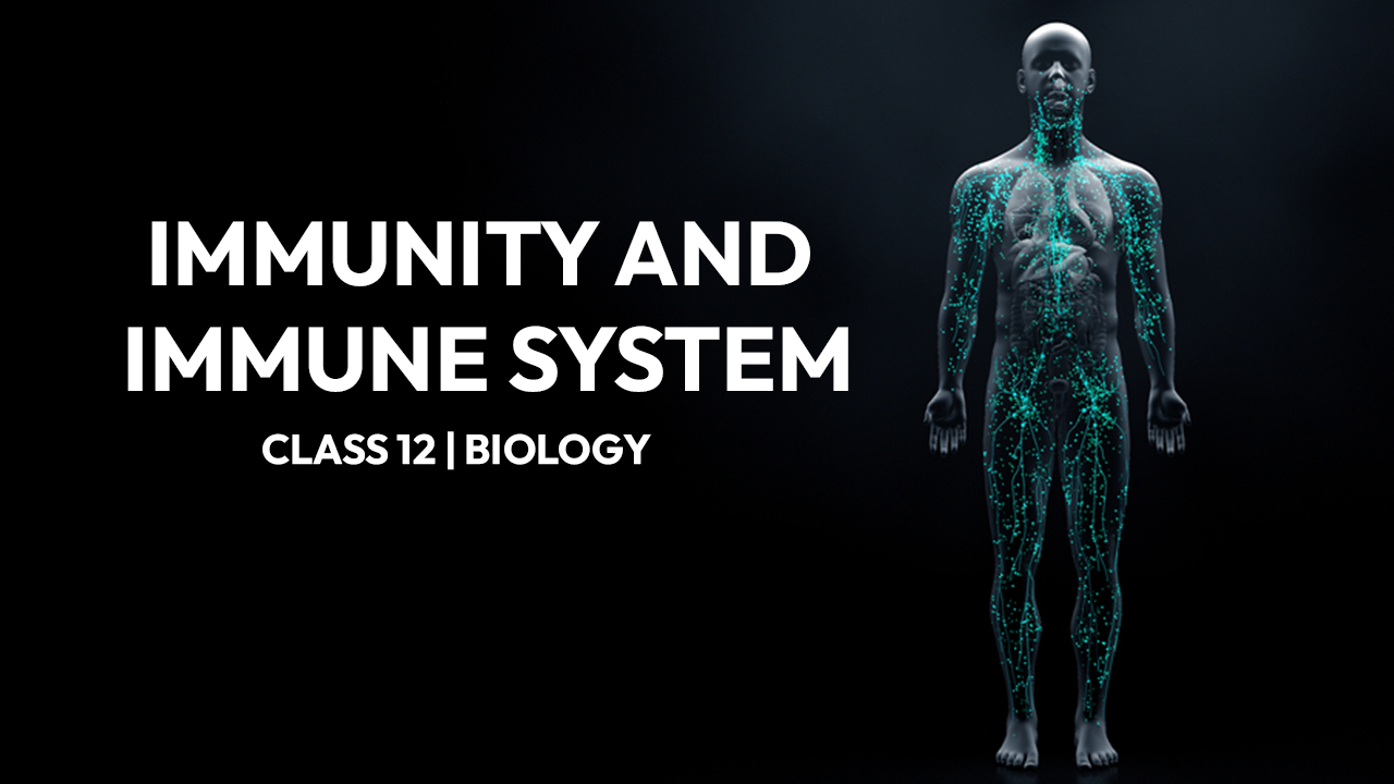 Complete Course on Immunity and Immune System: Biology - Class 12 NEET ...