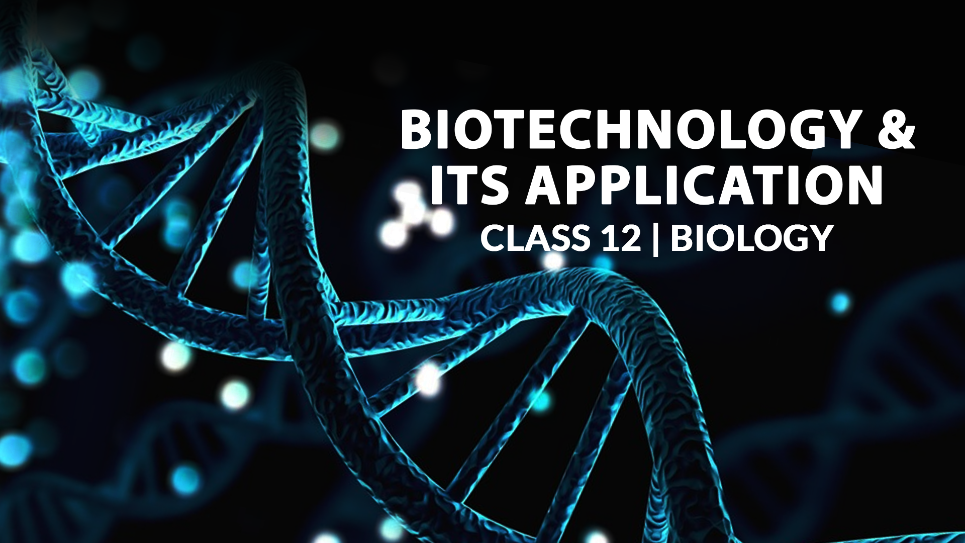 Detailed Course on Application of Biotechnology: Biology for Class 12 ...