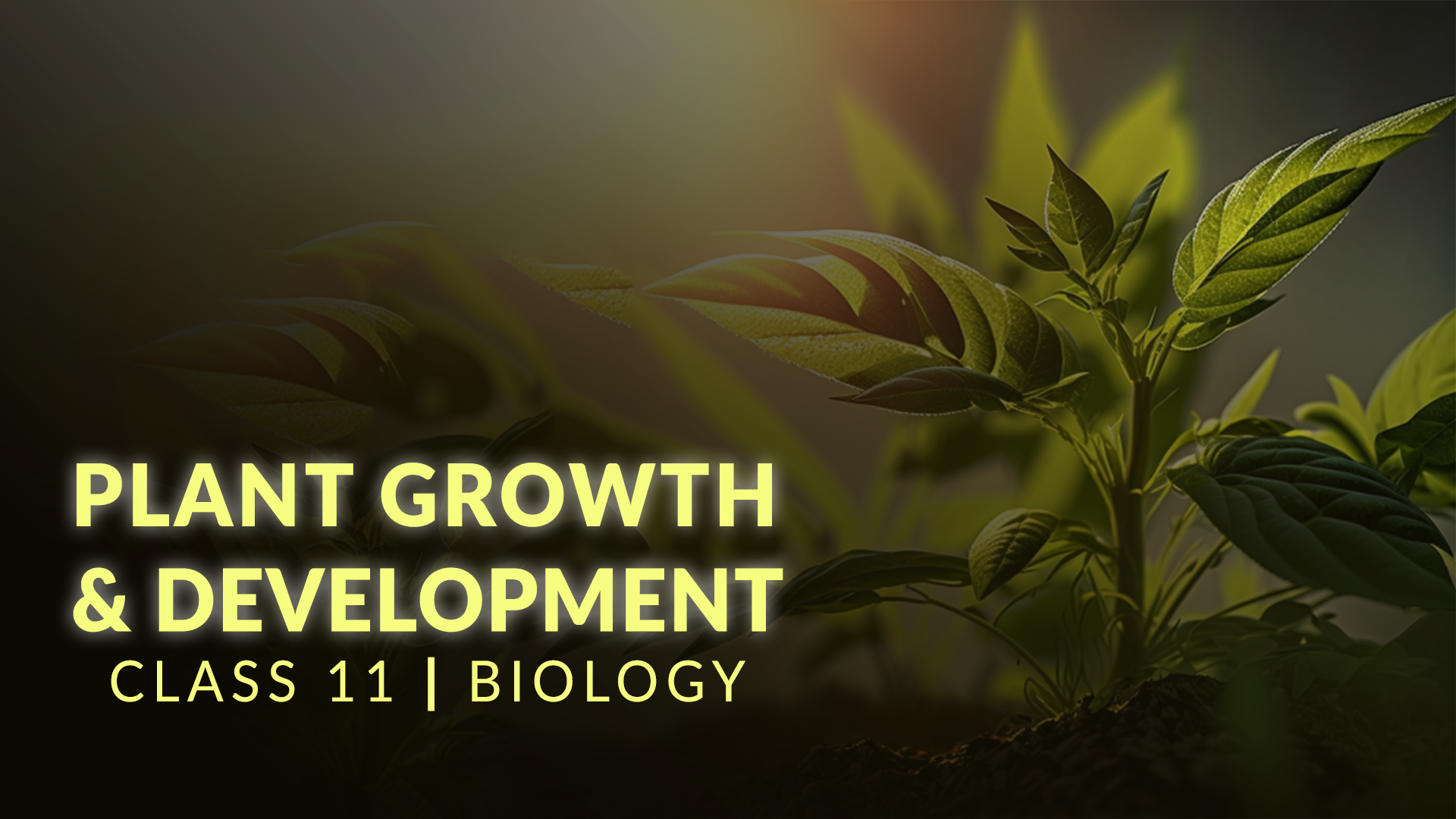 Biology: Plant Growth and Development Course for Class 11 NEET by M ...