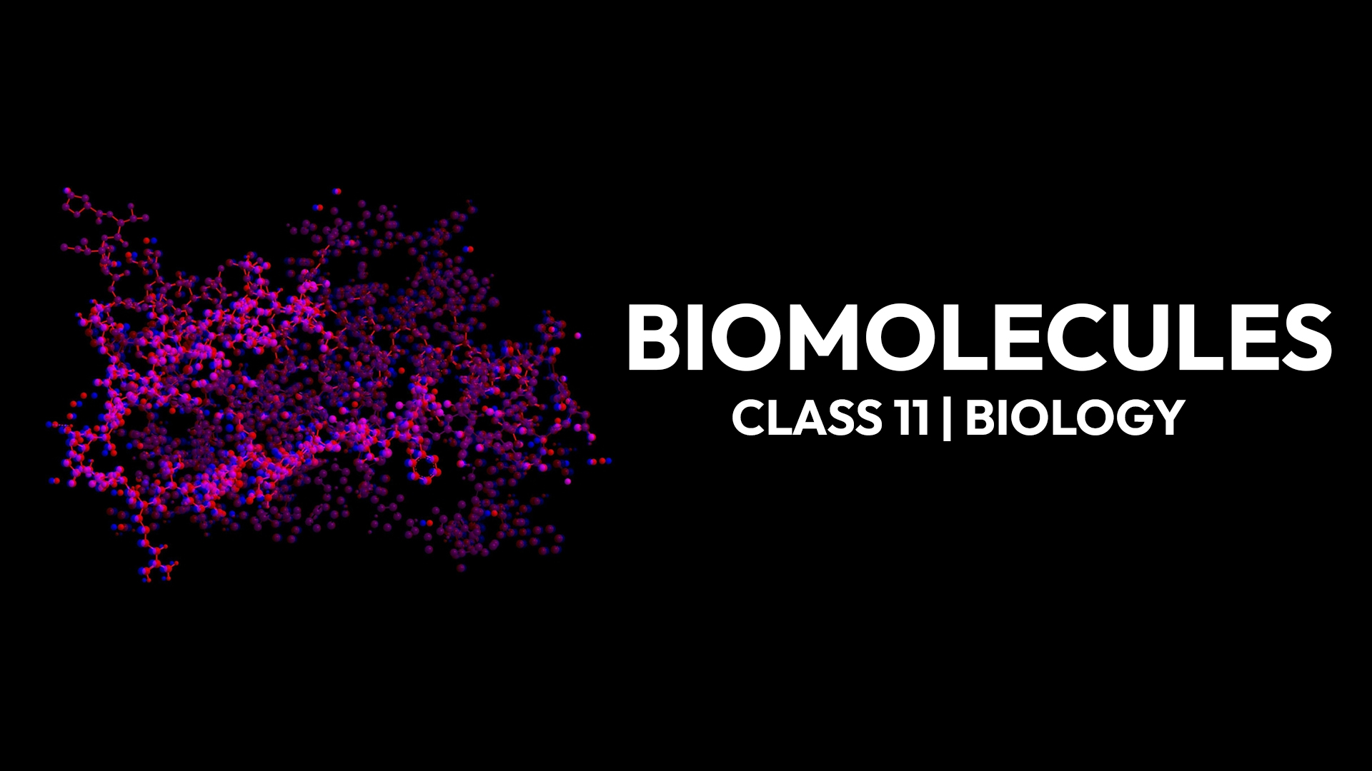 Biomolecules: Biology - Detailed Course Class 11 NEET by Saloni Sharma