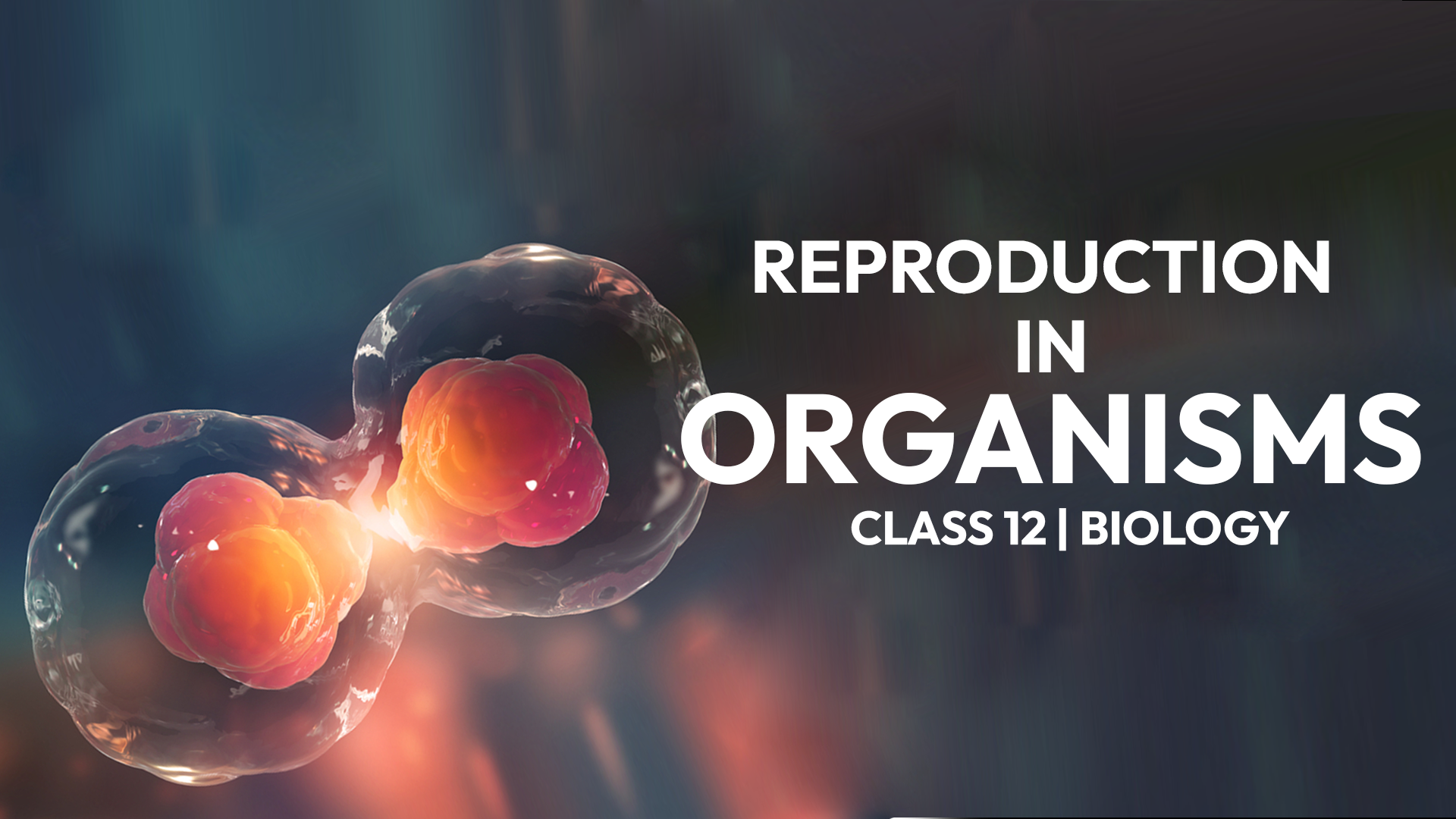 Reproduction in Organisms: Biology - Free Course - Class 12 NEET (2023)